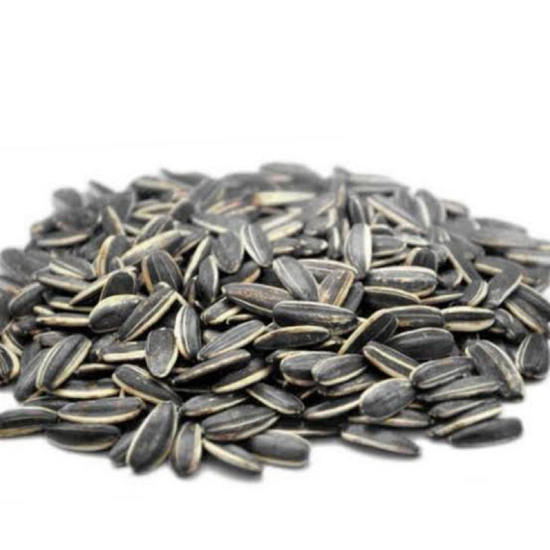 Jual KUACI BIJI BUNGA MATAHARI 500GRAM - SUNFLOWER SEED - KWACI MATANG ...