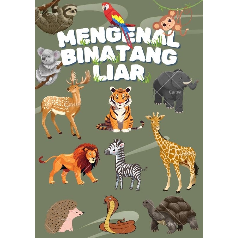 Jual poster edukasi anak 2 tahun (mengenal binatang liar) | Shopee ...