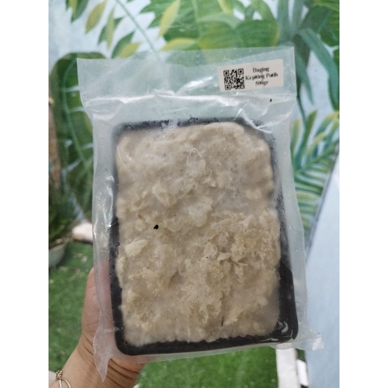 Jual Daging Kepiting Putih 500gr | Shopee Indonesia