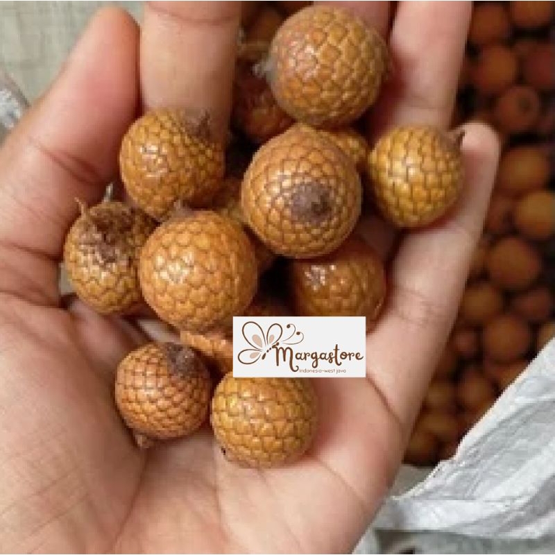 Jual Buah Biji Rotan 100gr Buah Rotan Kering Rustik Dekorasi | Shopee ...