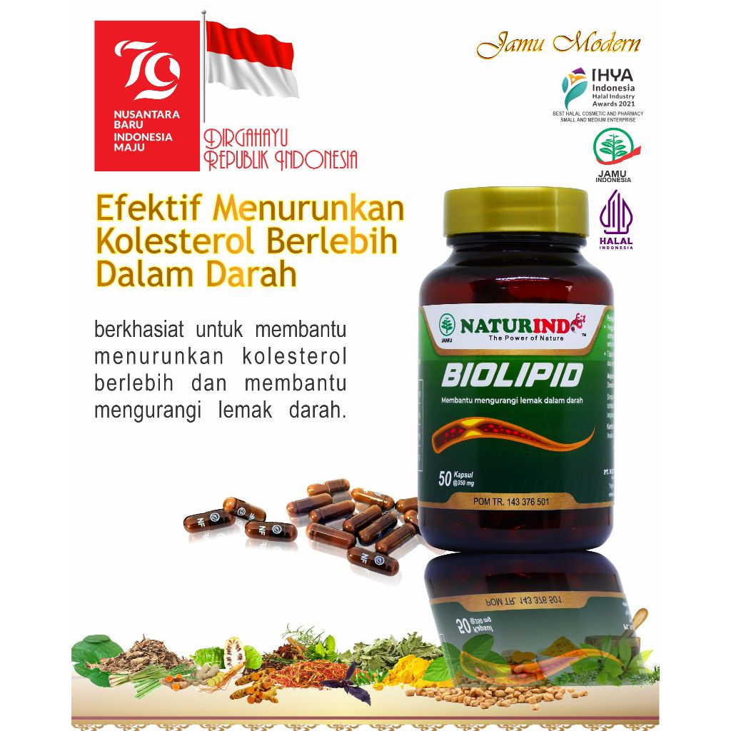 Jual BIOLIPID--OBAT KOLESTEROL | Shopee Indonesia