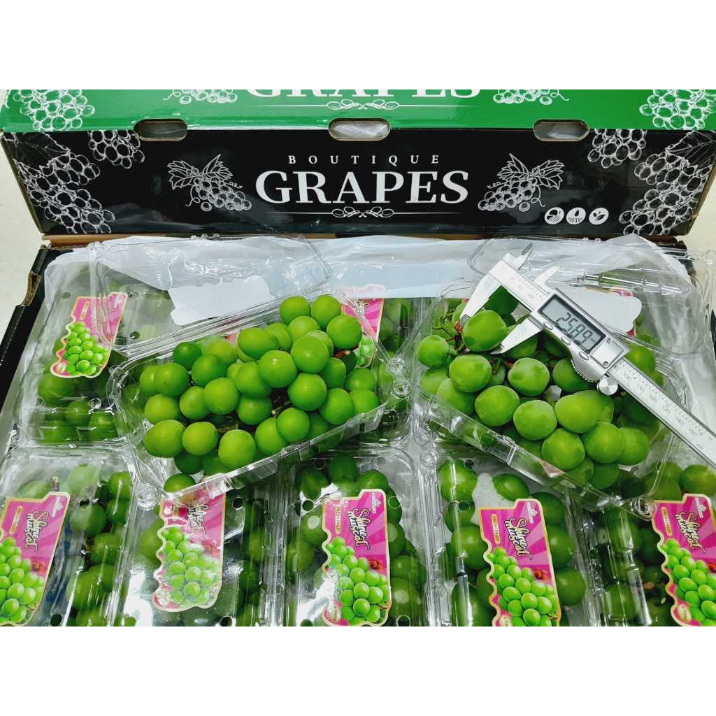 Jual Anggur Shine Muscat (BOX) | Shopee Indonesia