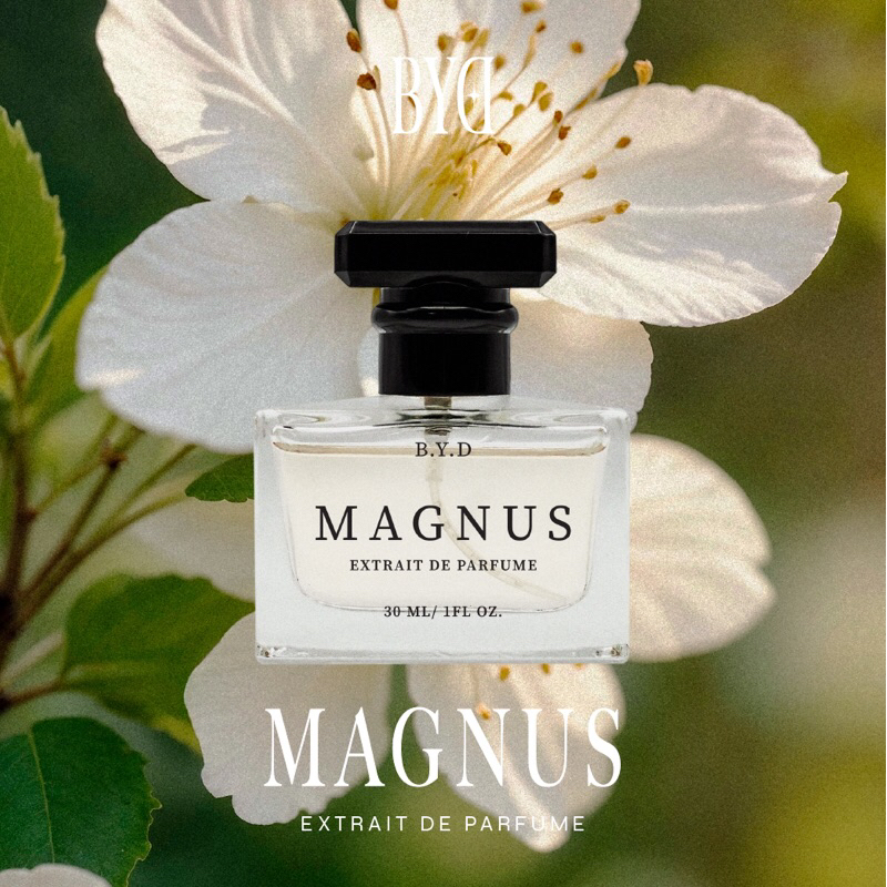 Jual BYD Magnus 30ml - Extrait de Parfum Pria Tahan lama | Shopee Indonesia
