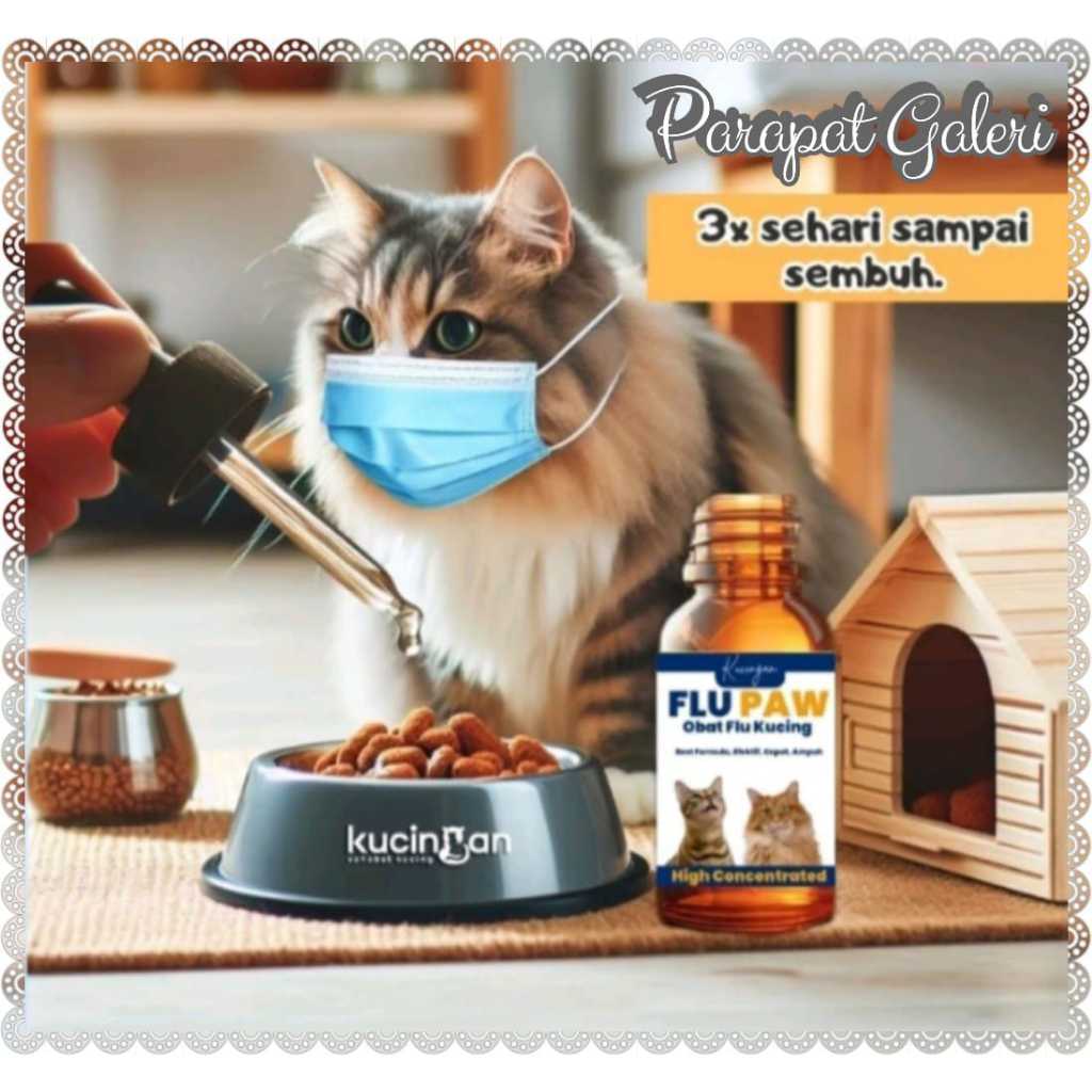 Jual Obat Flu Kucing FLU PAW Bersin Pilek Super Efektif 20 ml | Shopee ...