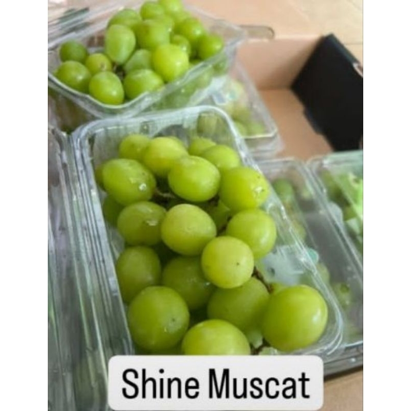 Jual Anggur shine muscat 1 pack | Shopee Indonesia
