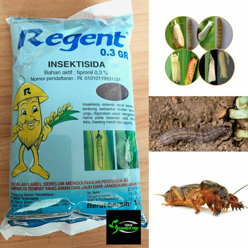 Jual Insektisida REGENT 0.3GR Fipronil Bubuk 1kg Hama Penggerek Batang ...