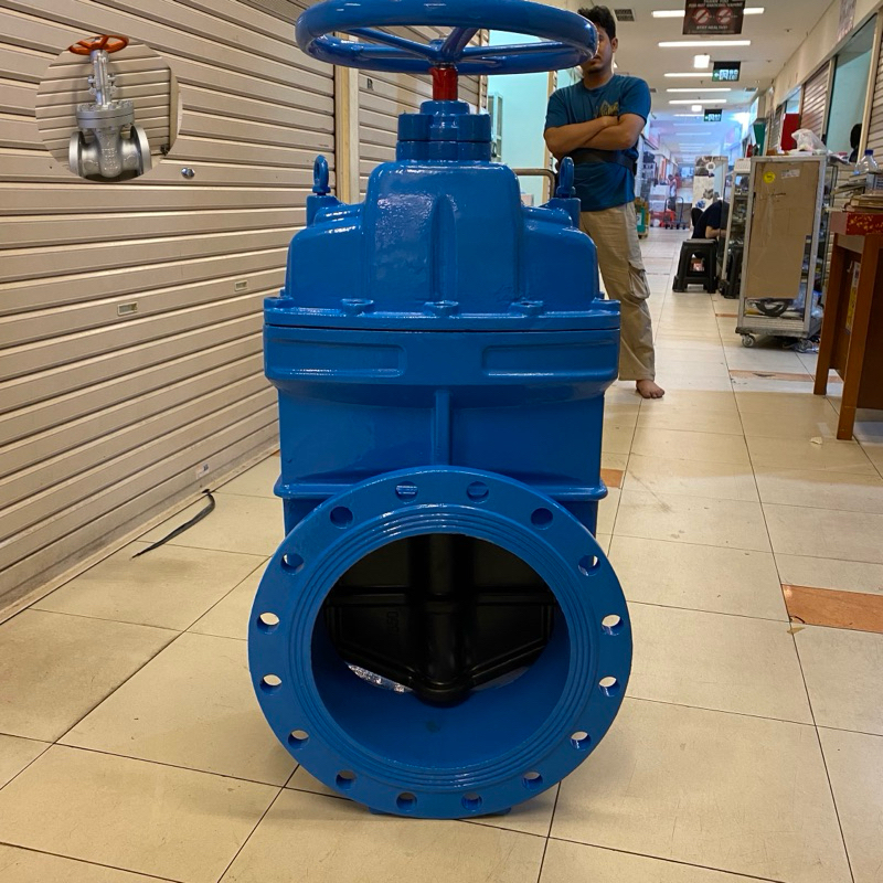 Jual Gate Valve resilent 12” inch Dn 300 Pn 16 cast iron | Shopee Indonesia