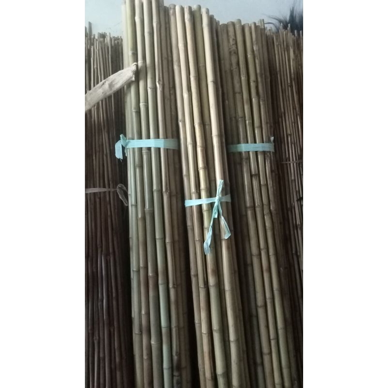Jual Tongkat Bambu Cendani Kuning Untuk Pramuka Kemah Sekolah | Shopee ...