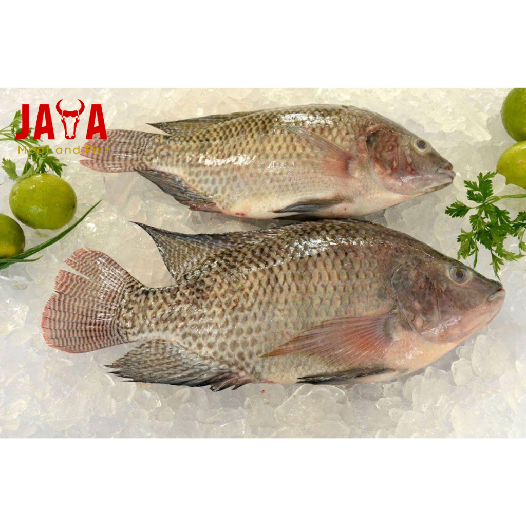 Jual Ikan Nila Segar 1kg | Nila Utuh Fresh 1kg | Shopee Indonesia