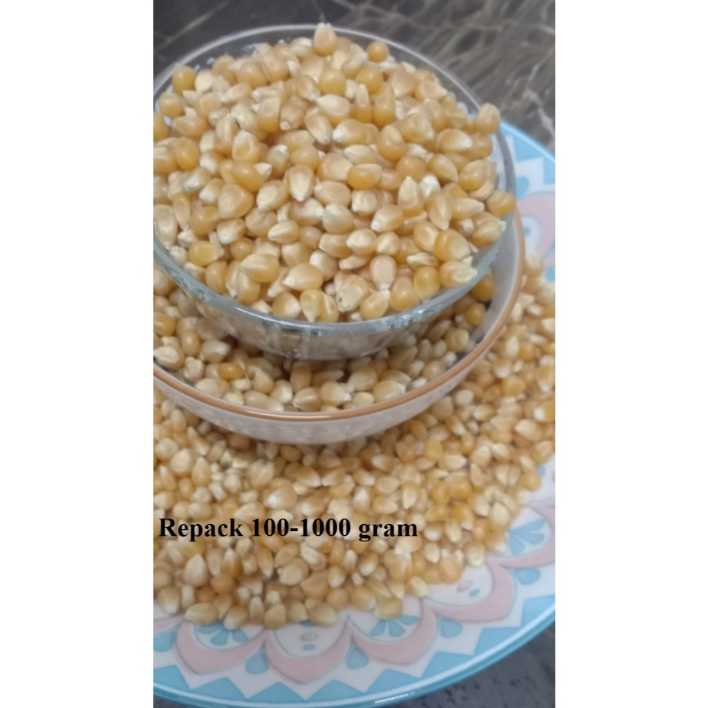 Jual Jagung Popcorn 1 kg / Biji Jagung Popcorn Manis / Corn Kernels ...
