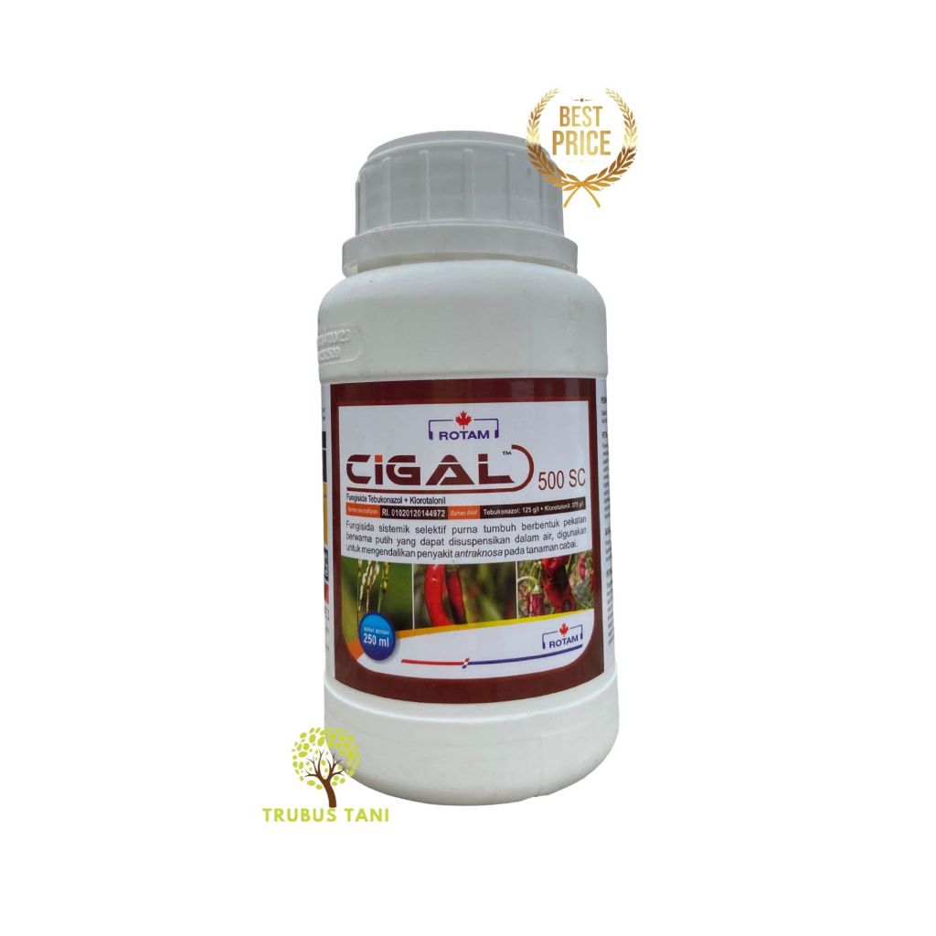 Jual FUNGISIDA TEBUKONAZOL CIGAL 500 SC 250 ML | Shopee Indonesia