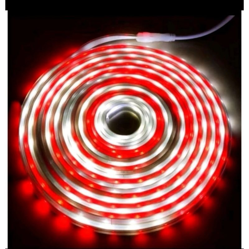 Jual LAMPU MERAH PUTIH LED STRIP 5 7 METER LAMPU HIAS/ LED STRIP MERAH ...