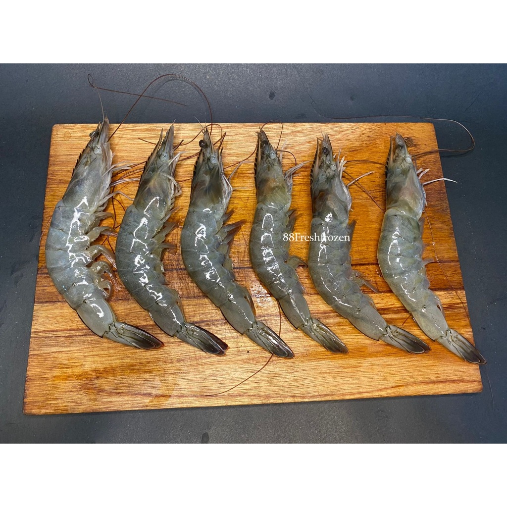 Jual Udang Laut Fresh Frozen Udang Vaname Udang Premium Segar | Shopee ...