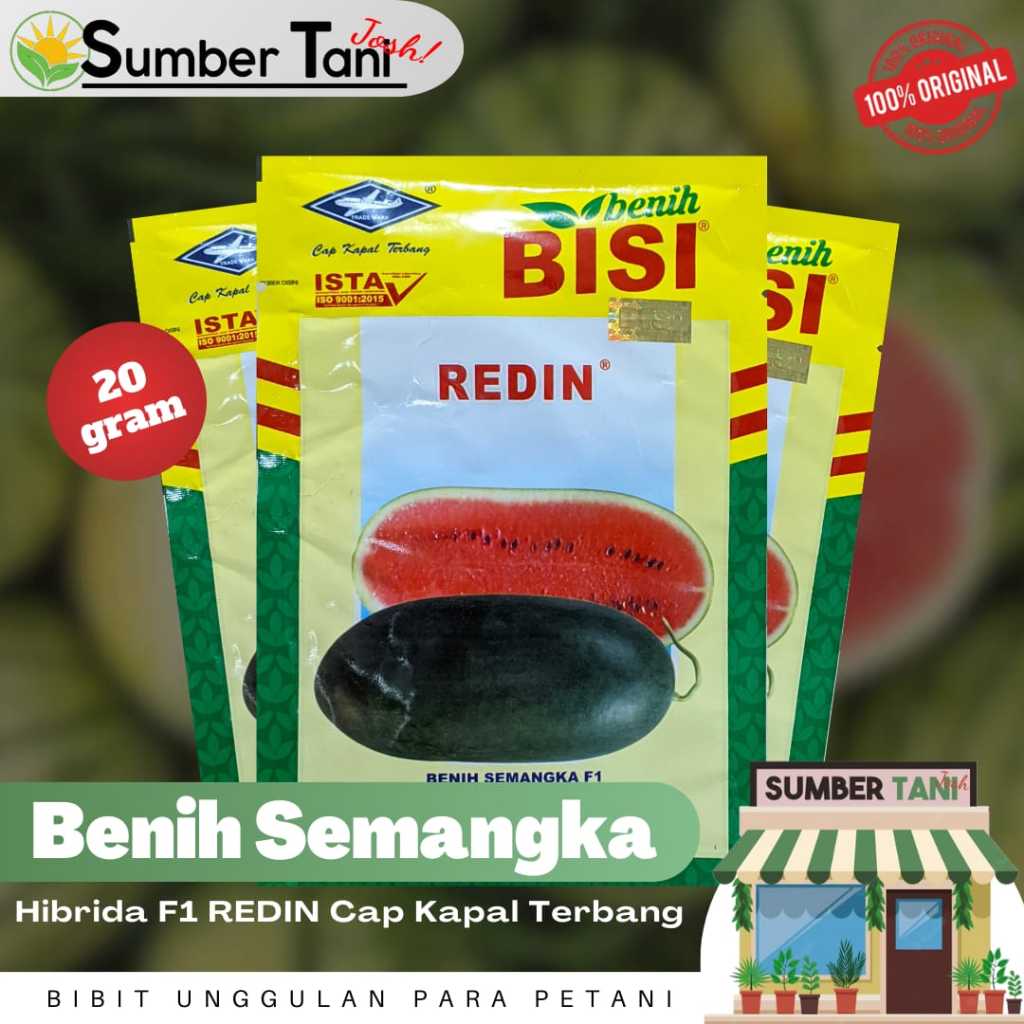 Jual Benih Semangka Hibrida F1 REDIN Cap Kapal Terbang 20gram | Shopee ...