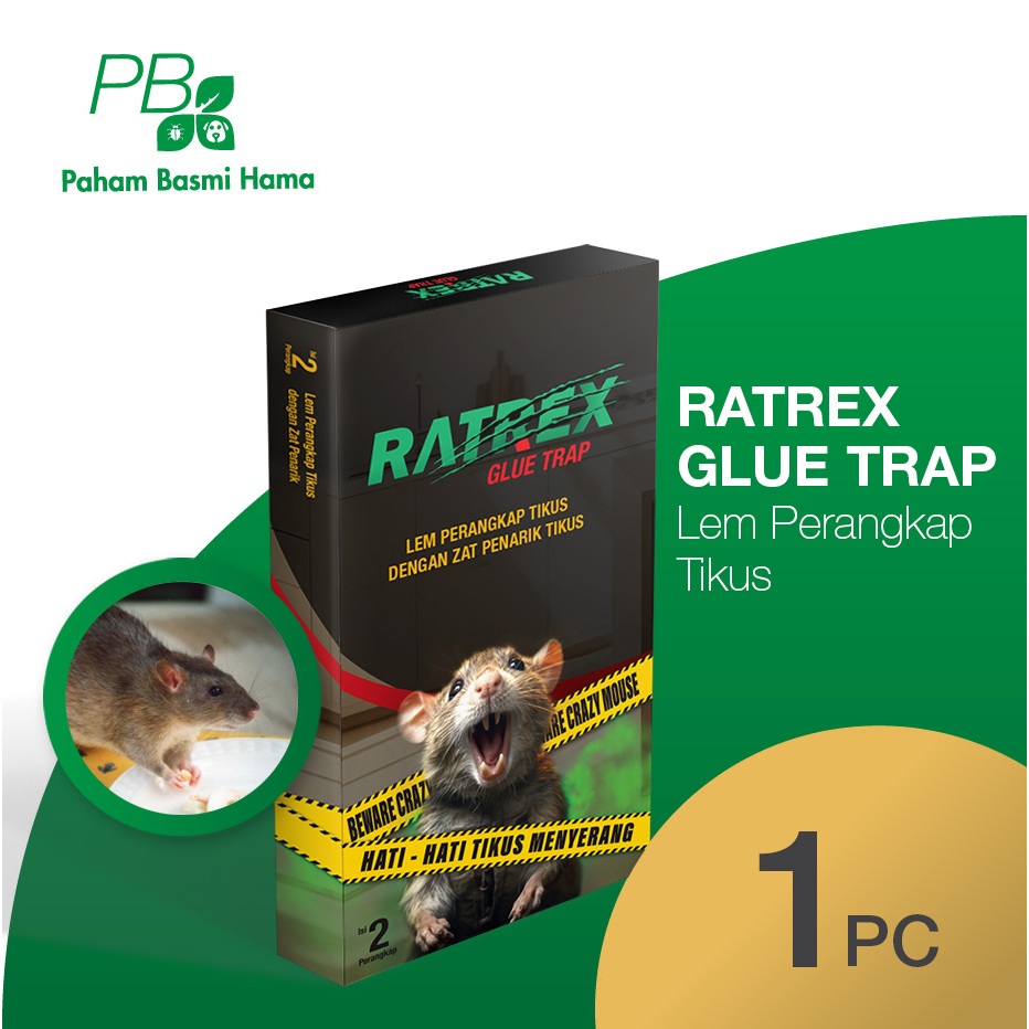 Jual Ratrex Glue Trap - Lem Perangkap Tikus - Lem Pembasmi Tikus - 80 ...
