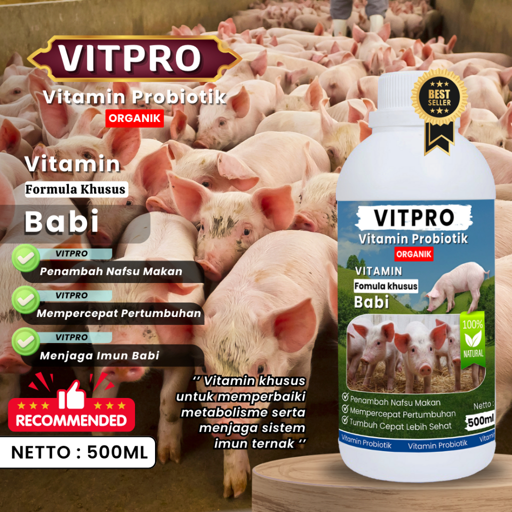 Jual Vitpro Nutrisi Ternak Babi Probiotik Vitamin Ternak Organik ...