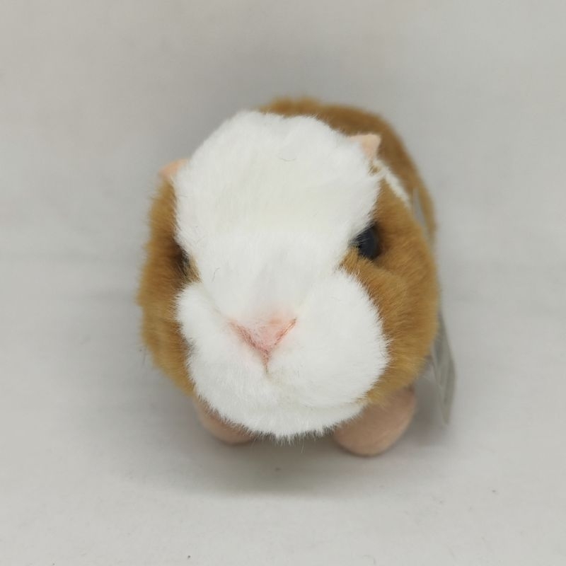 Jual Boneka Hamster/Marmut/Guinea Pig (XS) | Shopee Indonesia