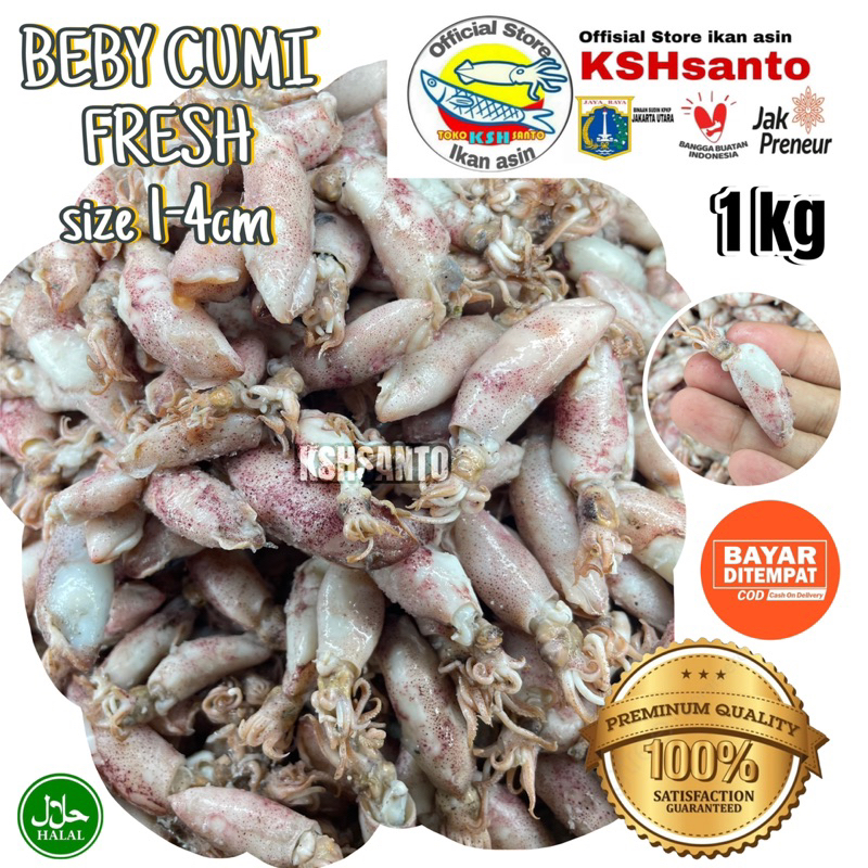 Jual Beby Cumi Fresh Frozen-1kg | Shopee Indonesia