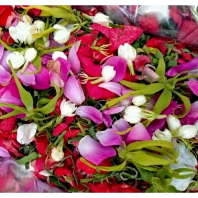 Jual BUNGA TABUR KUMPLIT SEGAR DI PETIK SAAT ORDER PER PCS 250gr ...