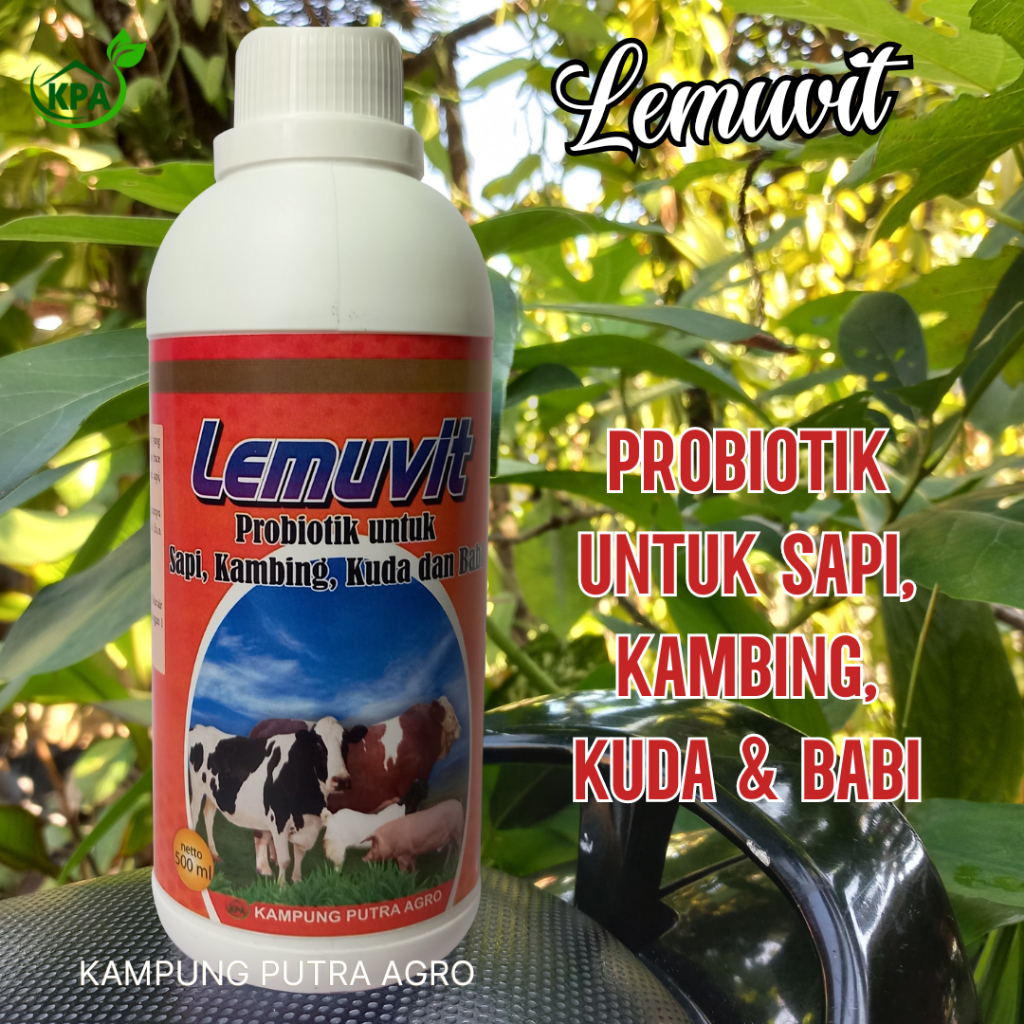 Jual Probiotik Ternak - Vitamin Untuk Sapi Kambing Domba Kuda Babi ...