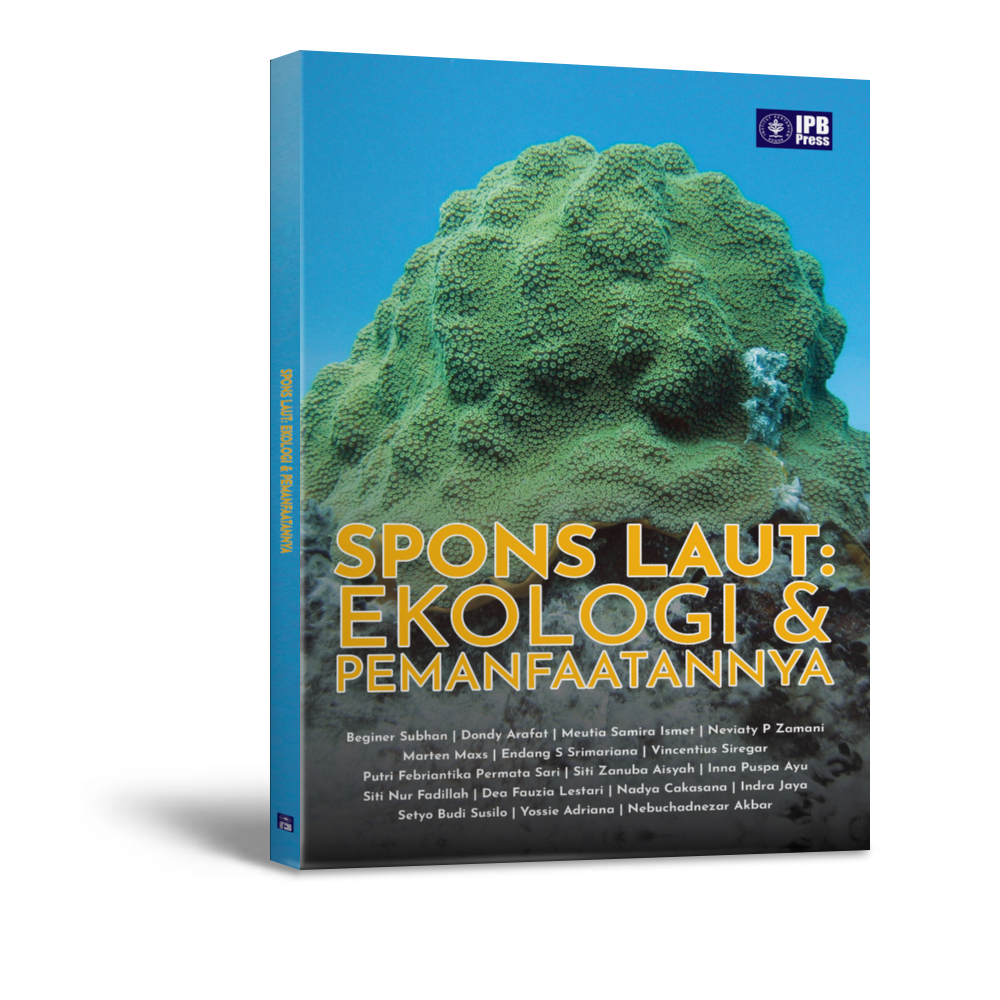 Jual Spons Laut: Ekologi dan Pemanfaatannya | Shopee Indonesia