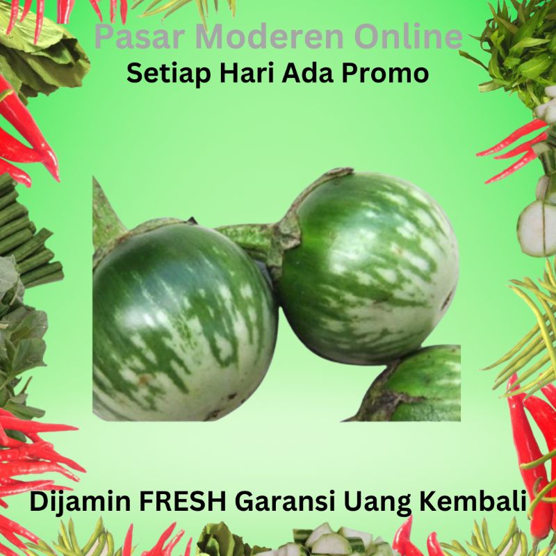 Jual TERONG HIJAU BULAT SAYUR SEGAR 250 GRAM | Shopee Indonesia