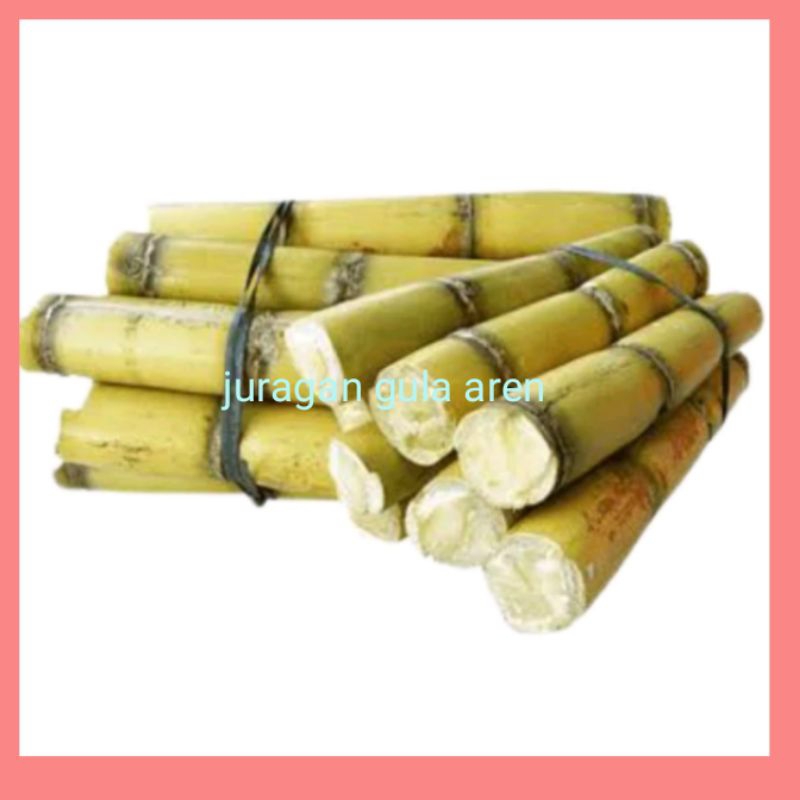 Jual TEBU KUNING MANIS DAN SEGAR BISA LANGSUNG KONSUMSI KEMASAN 1 KG ...