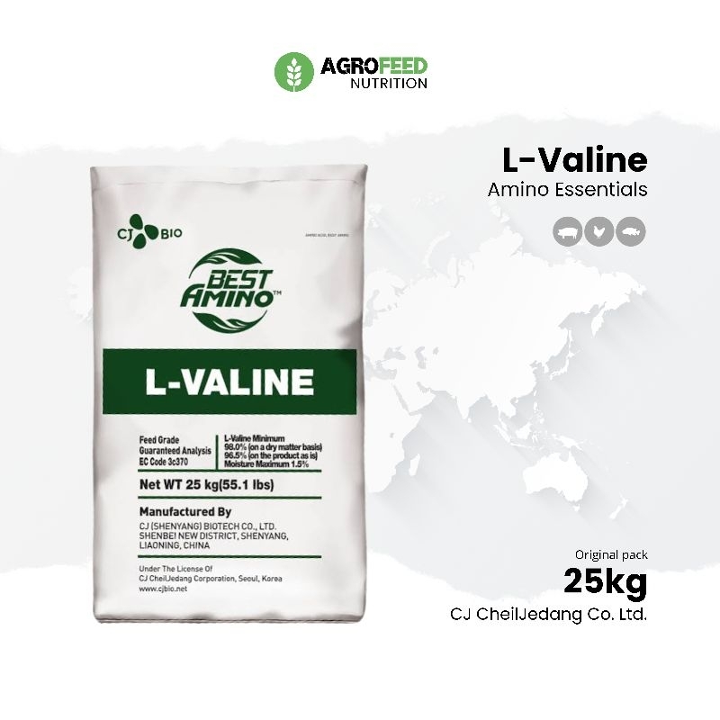 Jual L-VALINE Valin 25kg CJ Cheil Jedang Best Amino Pertumbuhan & Produktivitas Hewan Ternak ...