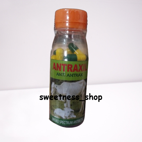 Jual Antraxil 40 Capsul Original - Anti Antrax Obat Broad Spectrum ...