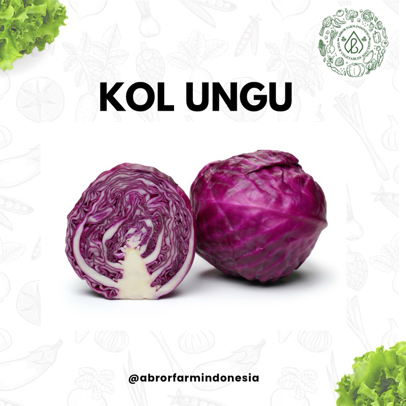Jual Kol Ungu | Shopee Indonesia