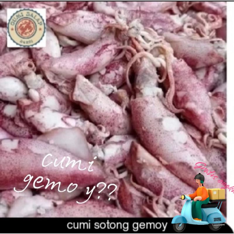 Jual ikan cumi sotong,cumi berkowalitas | Shopee Indonesia
