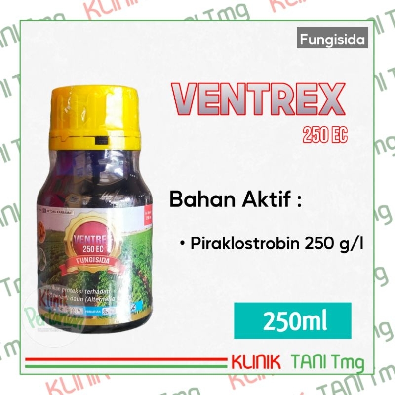 Jual VENTREX 250EC - 250ml | FUNGISIDA SISTEMIK | OBAT JAMUR | OBAT ...