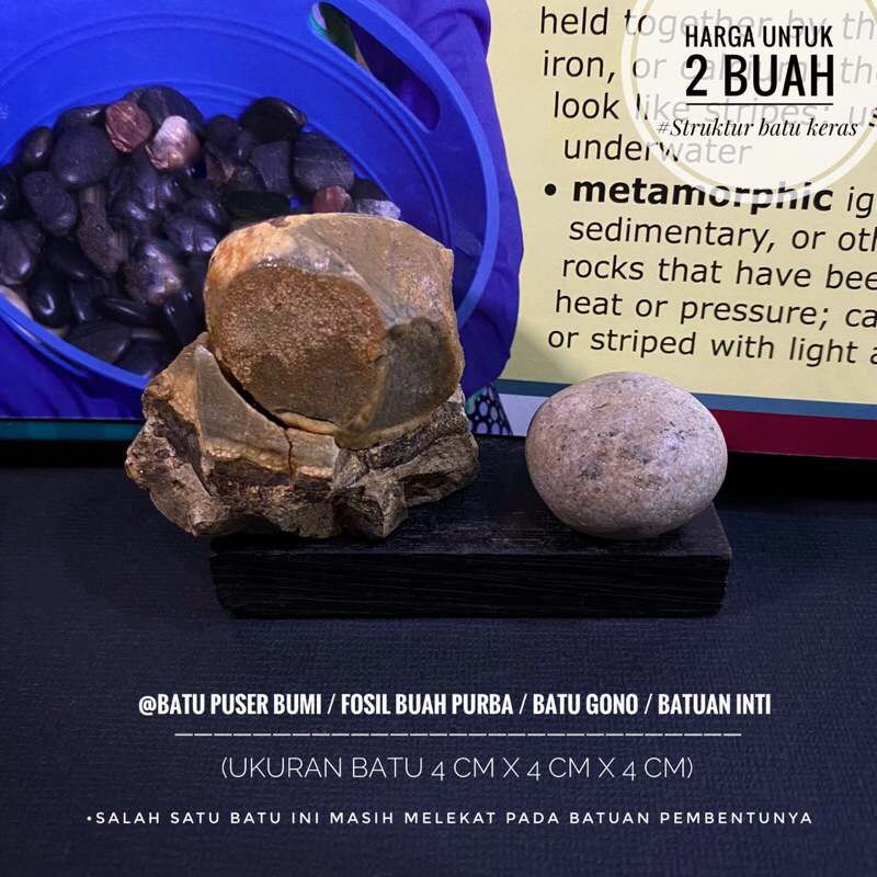 Jual Batu Puser Bumi G2 atau Batuan Inti atau Fosil Buah Purba atau ...