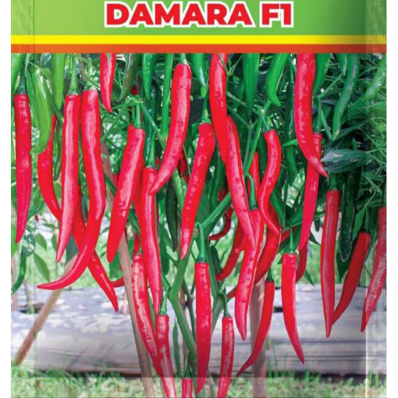 Jual 50 Biji Cabe Besar Damara F1 | Benih Cabai Besar | Benih Sayuran ...