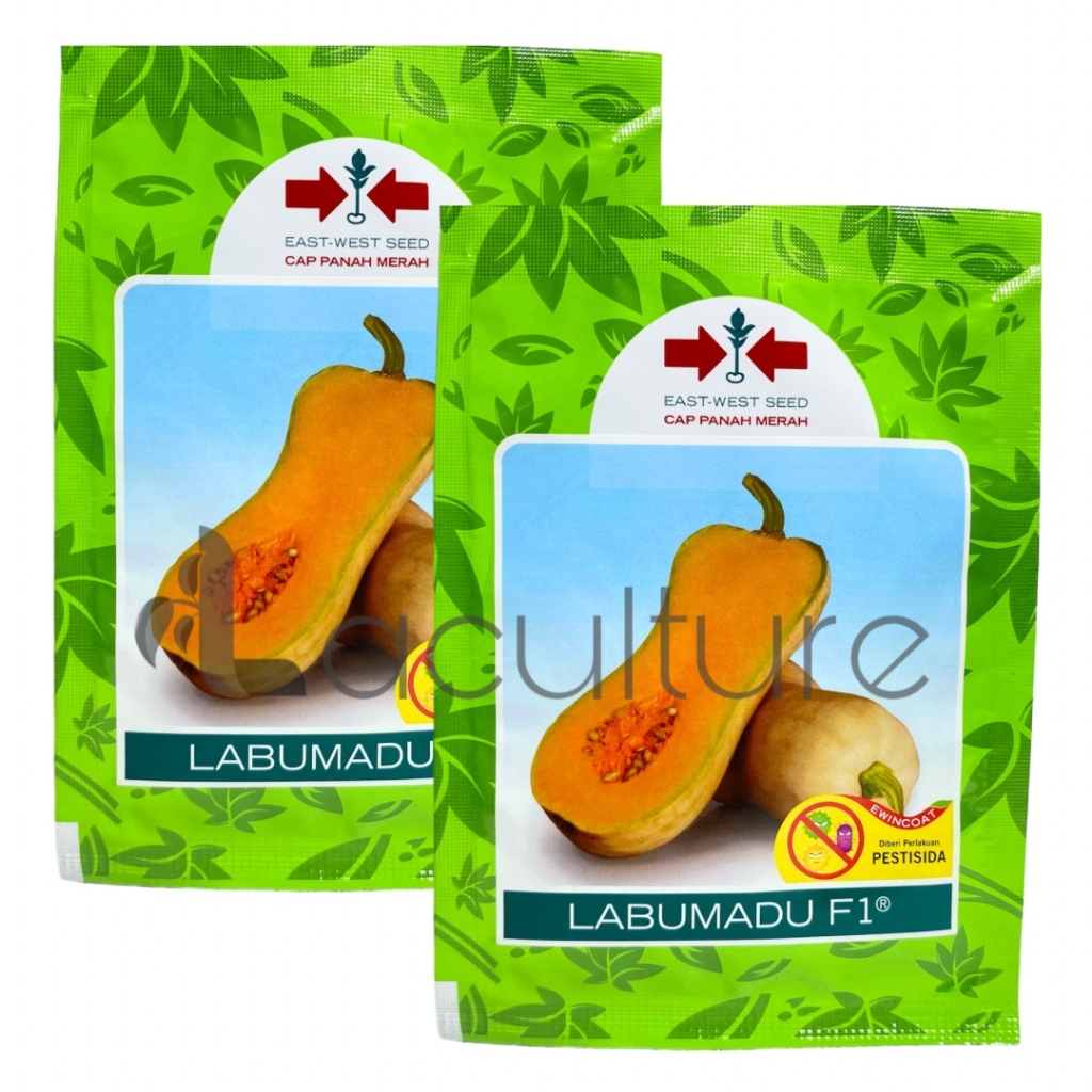 Jual Benih Labu Waluh LABUMADU F1 Isi 50 Butir Cap Panah Merah | Shopee ...
