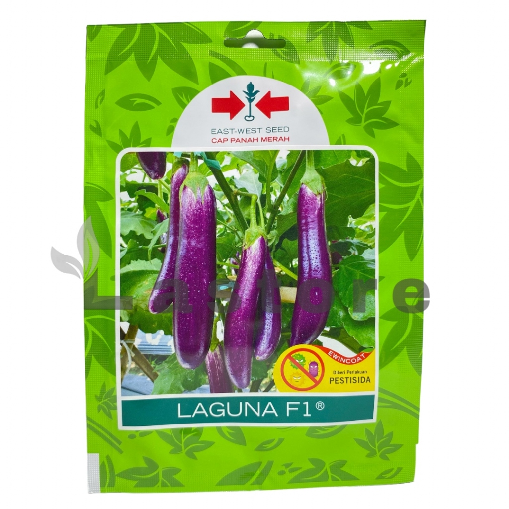 Jual Benih Terong Ungu LAGUNA F1 Isi 400 Butir Cap Panah Merah | Shopee Indonesia