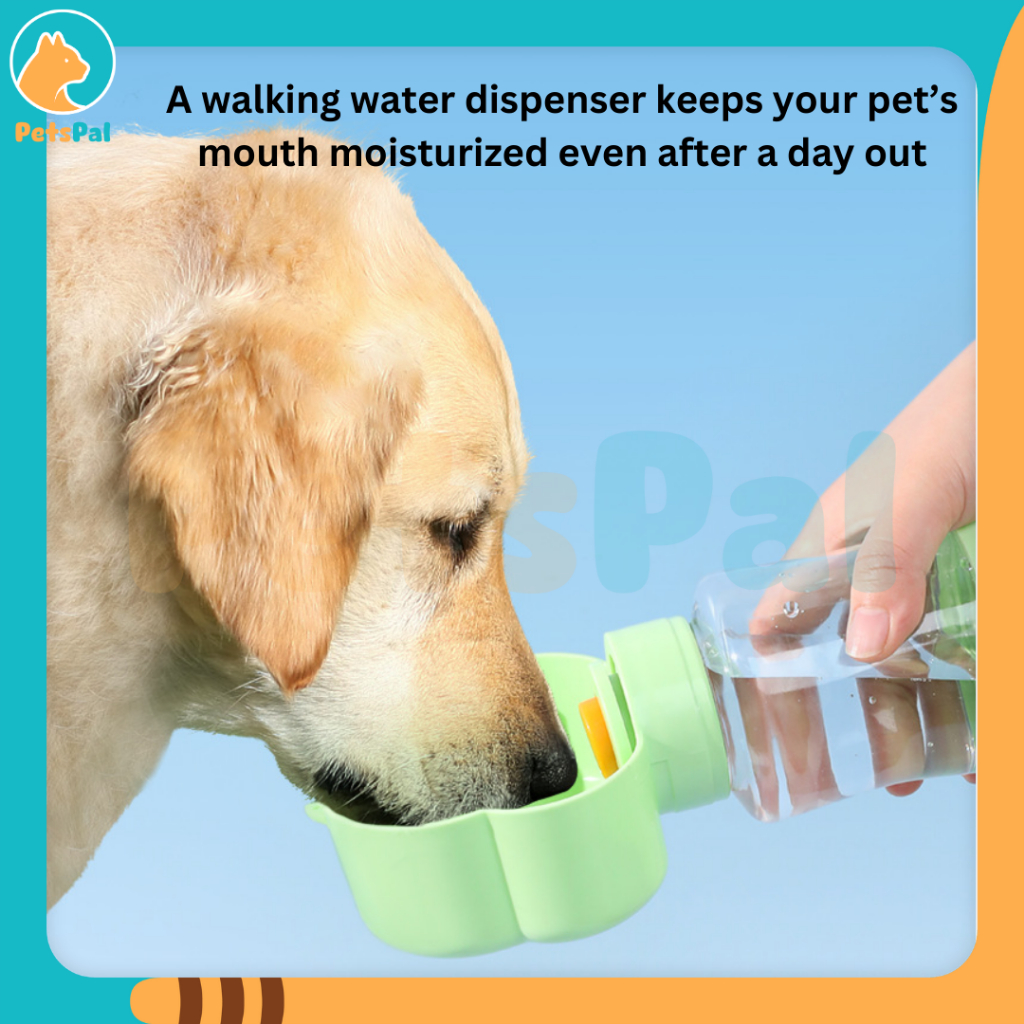 Jual Tempat Minum dan Makan Set Portable Travel 350+150ml Pet Anjing ...