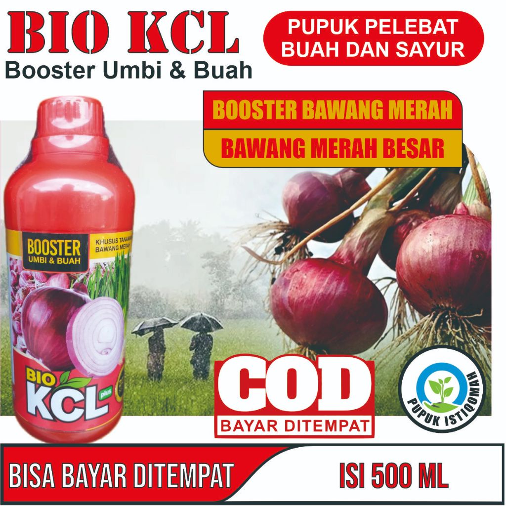 Jual BIO KCL PLUS 500 ML Pupuk Booster Bawang Merah Pembesar Umbi Dan Buah Tanaman Bawang Merah ...