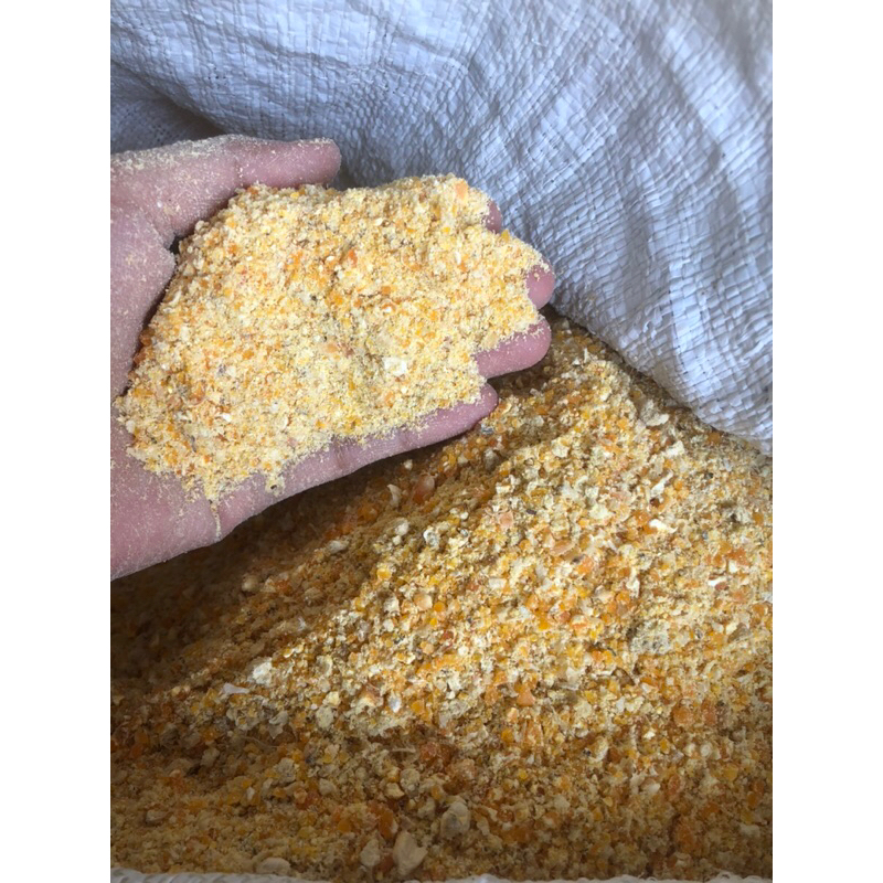 Jual Jagung Giling Pakan Ternak Jagung Selep Campur Halus Kasar 15 Kg ...