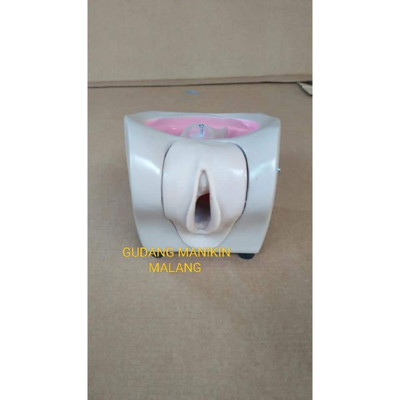Jual MANEKIN PEMASANGAN IUD | Shopee Indonesia