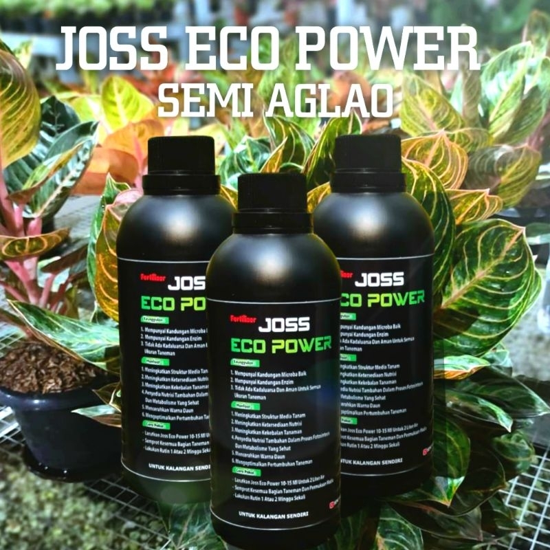 Jual JOSS ECO POWER SEMI AGLAO 500ml | Shopee Indonesia