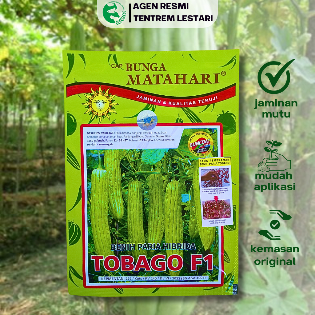 Jual Benih Pare Paria Hibrida TOBAGO F1 15 gram 50 Seed Asli Cap Bunga ...