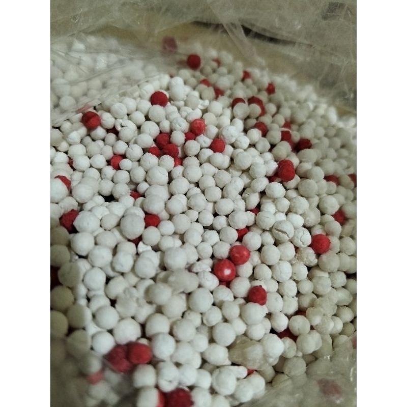 Jual SAGU MUTIARA MENTAH 1kg | Shopee Indonesia