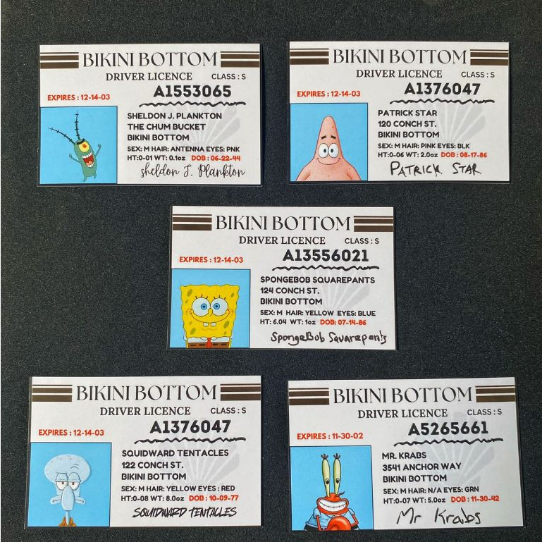 Jual Bikini Bottom Driving Licence Spongebob Fake Replica ID Card Prop ...