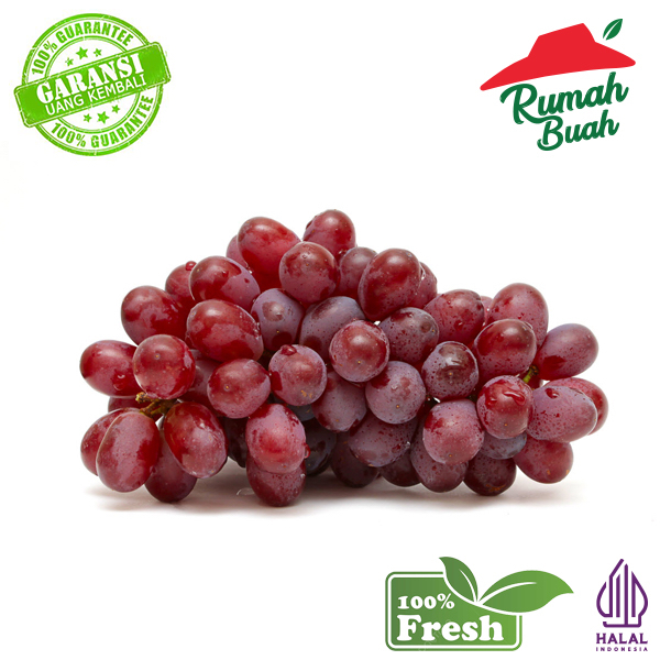 Jual BUAH ANGGUR RED GLOBE AUSTRALIA 500 gram 1kg [RUMAH BUAH] | Shopee ...