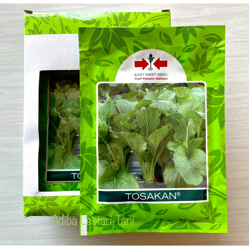 Jual Benih Caisim Tosakan 25 Gram - Original Cap Panah Merah | Shopee ...