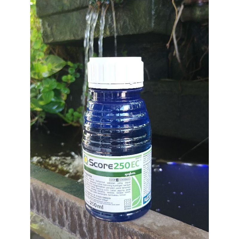 Jual SCORE 250EC. 250ML (Fungisida) | Shopee Indonesia