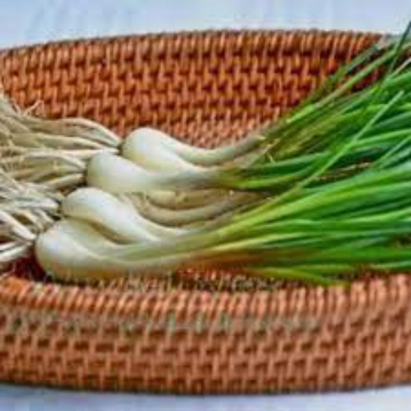 Jual bawang Batak/lengkio 1kt kecil | Shopee Indonesia