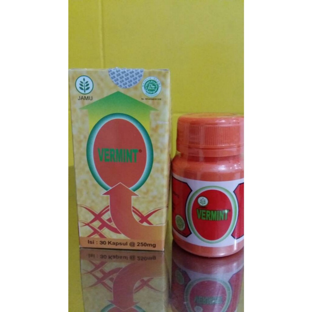 Jual Vermint isi 30 Kapsul Obat Penyakit Tifus / Tipes / Typus | Shopee ...