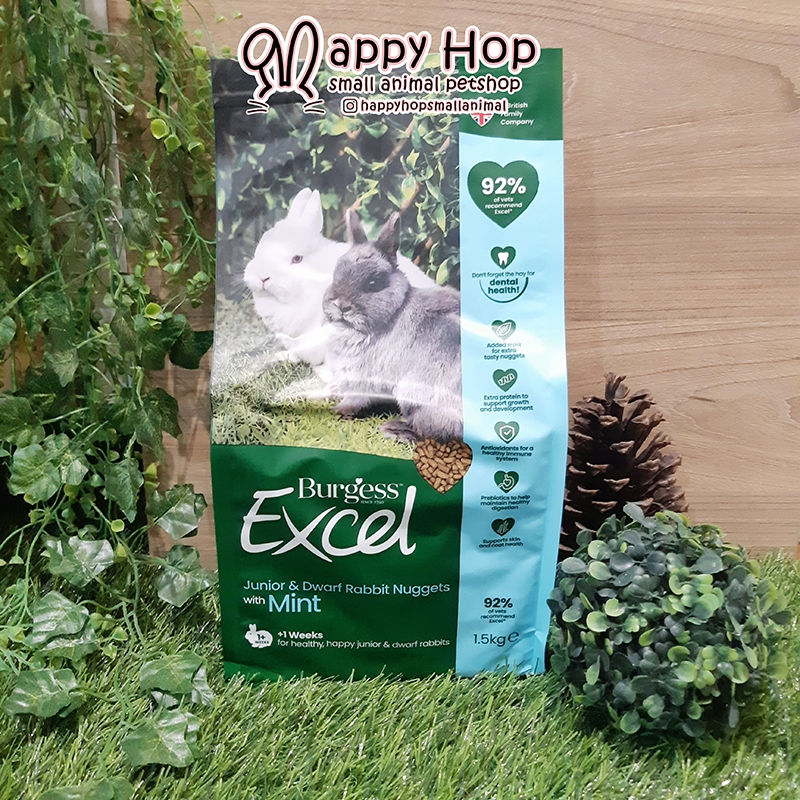 Jual Burgess Rabbit Pellet Junior Mint repack 500 gr dan fresh pack 1,5 ...